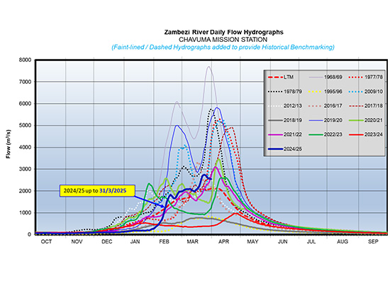 Victoria Falls / Big Tree | Zambezi River Authority